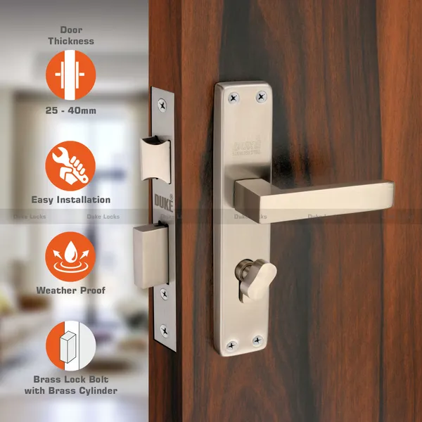 DUKE Mortice Door Lock Set Stainless Steel 1005 SS CY 8 INCH with Brass ...