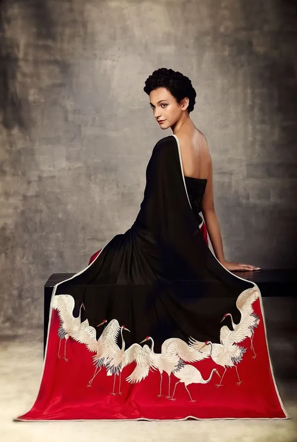 Rainbow Saree STYLISH BLACK AND RED HANSH SAREE Price in India - Buy ...