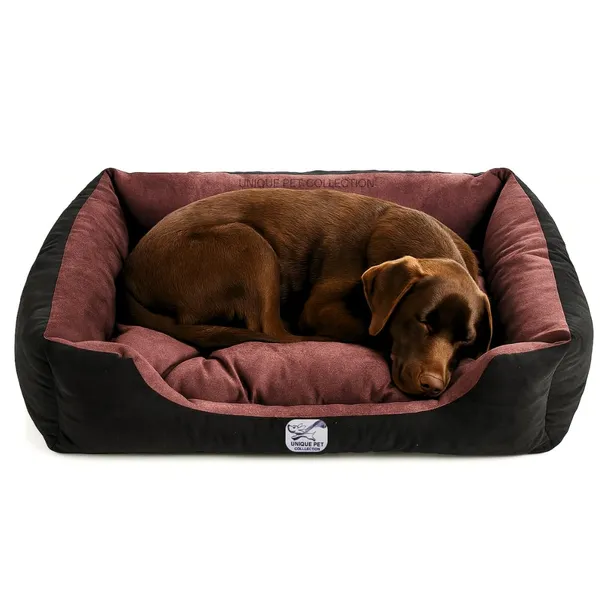 unique dogs bed