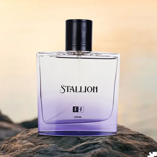 Fragrance and Fashion Stallion Premium Edp Of 100Ml For Men Price in ...