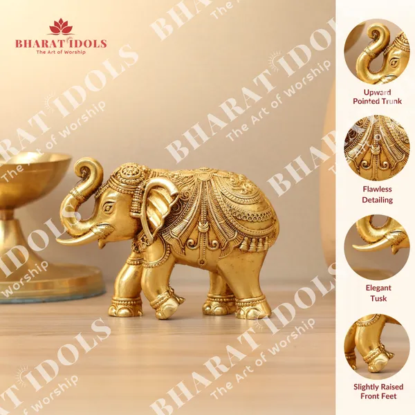 bharat elephant