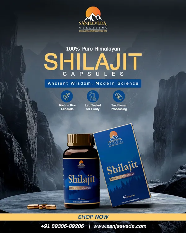 Sanjeeveda Golden Premium 100% Natural Shilajeet Capsules Price in ...